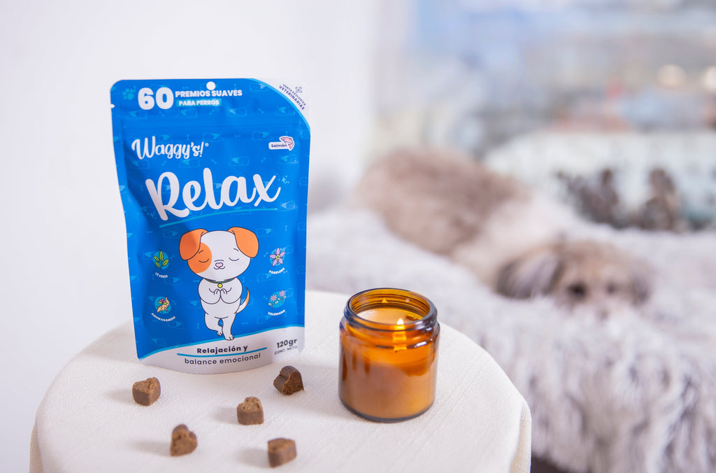 Fiestas Felices, Mascotas en Calma: Tu Guía para una Navidad sin Estré ...